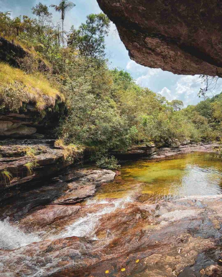 Caño Cristales: Cómo visitar el río de los 7 colores en Colombia