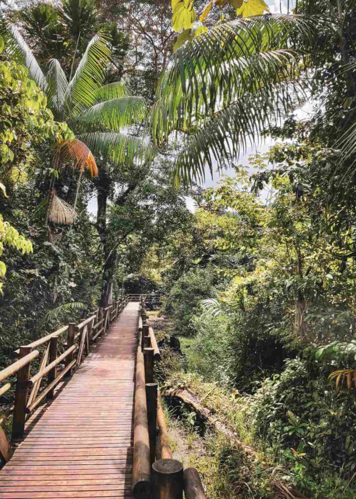Nuquí, Colombia: How to Get There and What to See