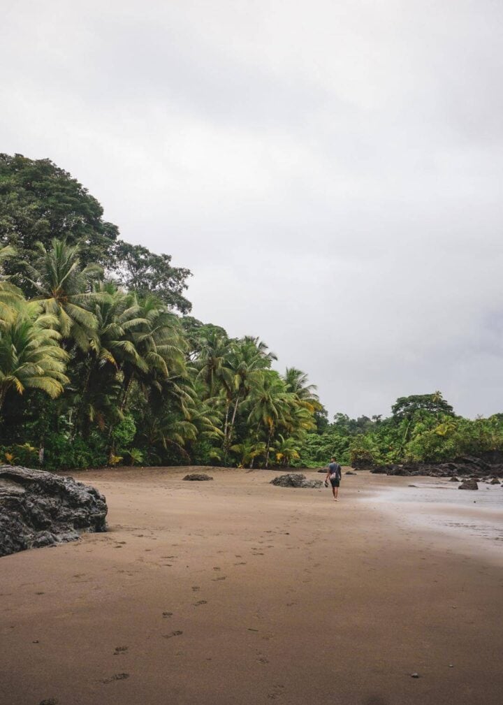 5 Selvas de Colombia perfectas para un viaje de aventura