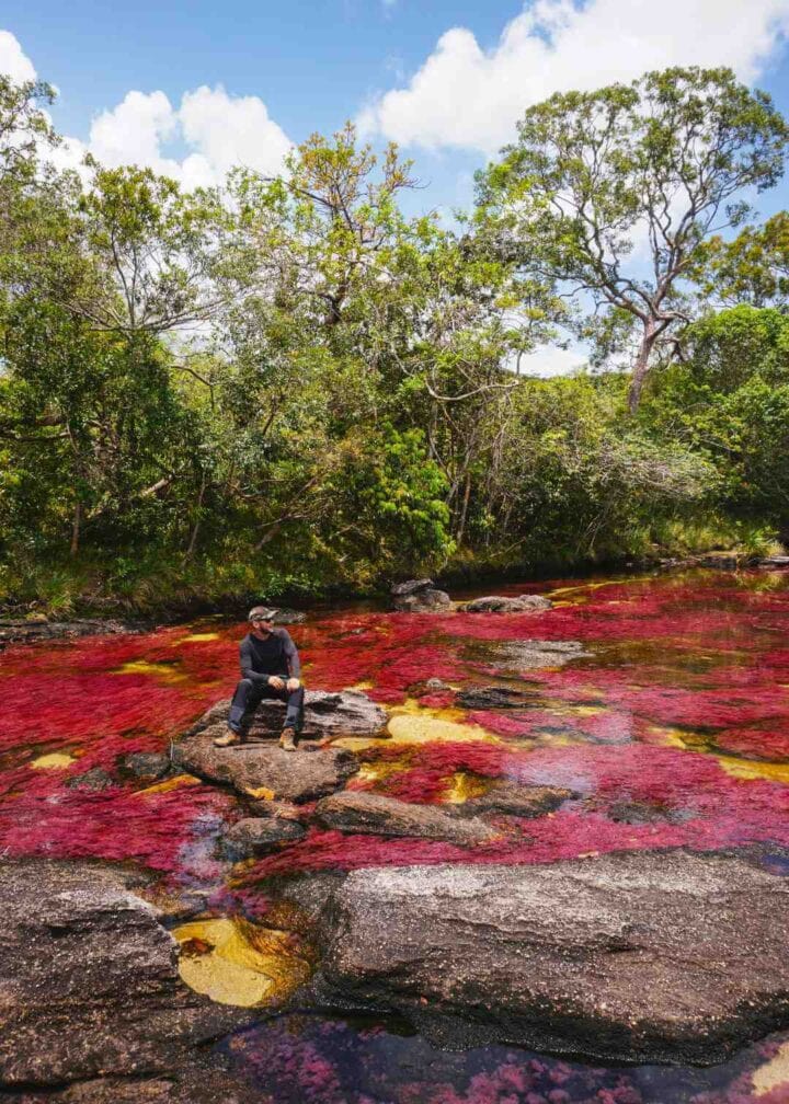 Caño Cristales: Cómo visitar el río de los 7 colores en Colombia